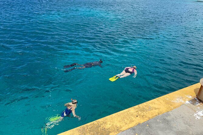 Snorkeling with Sea Turtles - Who Will Love This Tour?