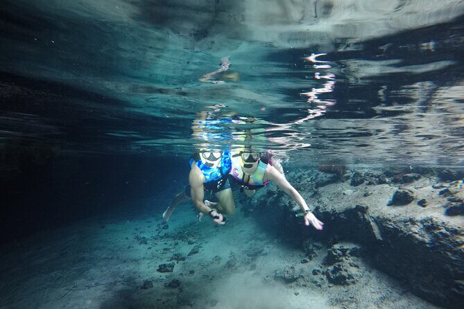 Snorkeling with Sea Turtles and Cenote Adventure - Authentic Encounters and Guest Perspectives