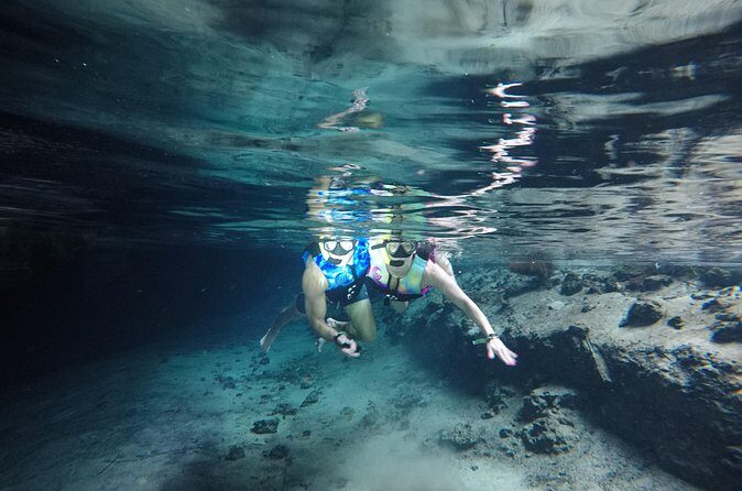 Snorkeling with Sea Turtles and Cenote Adventure - The Sum Up