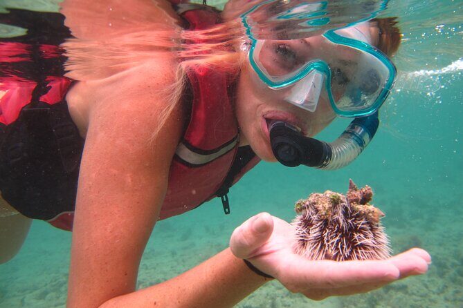 Snorkeling with Sea Turtles at St. Thomas - The Experience for Different Travelers
