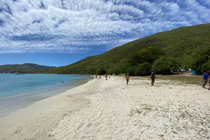Snorkeling with Sea Turtles at St. Thomas - Final Thoughts: Who Should Book This Tour?