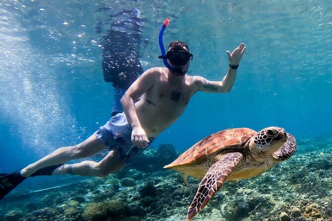Snorkeling with turtle and statue in Gilis - Practical Details: What to Expect Day of Tour