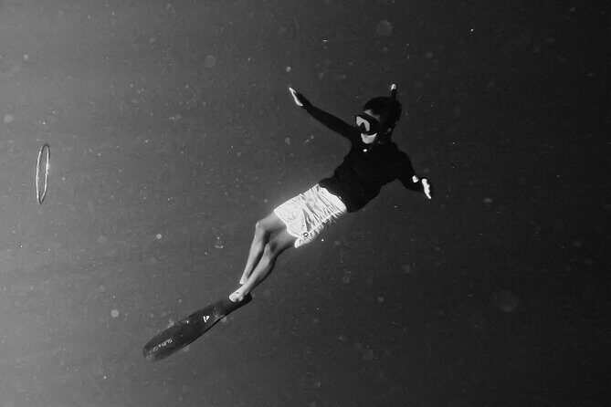 Snorkeling with turtle and statue in Gilis - Who Is This Tour Best For?