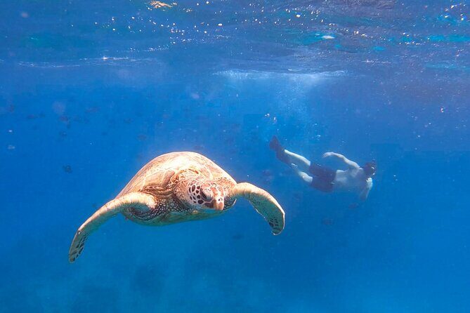 Snorkeling with Turtle/Water Scooter/Paddleboard Adventures Oahu - The Itinerary in Detail: What Youll Experience