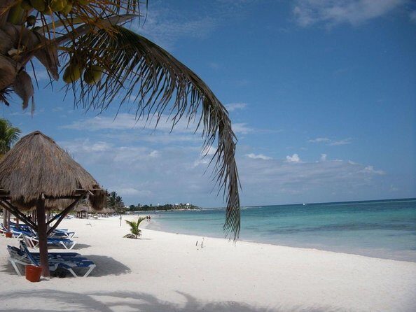 Snorkeling with Turtles and Cenote Tour from Riviera Maya - Introducing the Snorkeling with Turtles and Cenote Tour from Riviera Maya