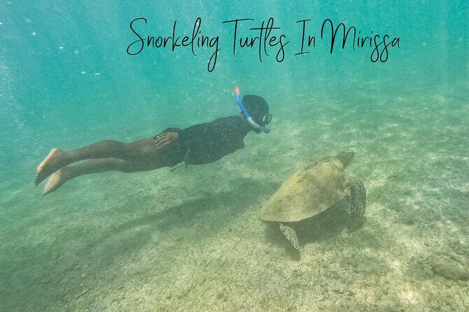 Snorkeling with Turtles in Mirissa - Key Points