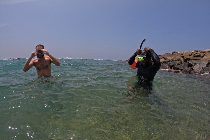 Snorkeling with Turtles in Mirissa - Breaking Down the Itinerary