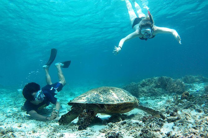 Snorkeling with Turtles on Gili Trawangan - Key Points