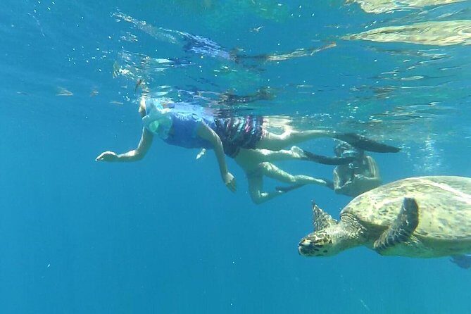 Snorkeling with Turtles on Gili Trawangan - The Heart of the Tour: Snorkeling with Turtles around Gili Trawangan