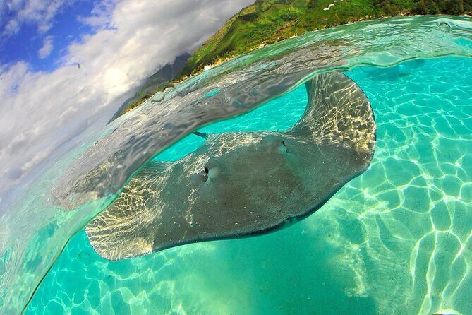 Snorkeling with underwater scooter in Tahaa lagoon from Raiatea - Who This Tour Is Perfect For
