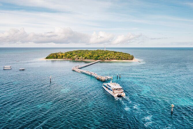 Snorkelling and Glass Bottom Boat at Green Island from Cairns - The Glass Bottom Boat: A View into Underwater Life