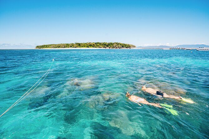 Snorkelling and Glass Bottom Boat at Green Island from Cairns - Island Walk and Facilities