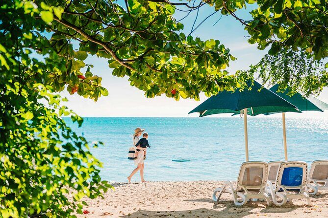 Snorkelling and Glass Bottom Boat at Green Island from Cairns - Meals and Amenities