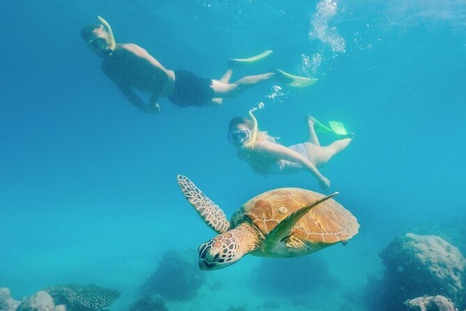 Snorkelling and Glass Bottom Boat at Green Island from Cairns - The Overall Value