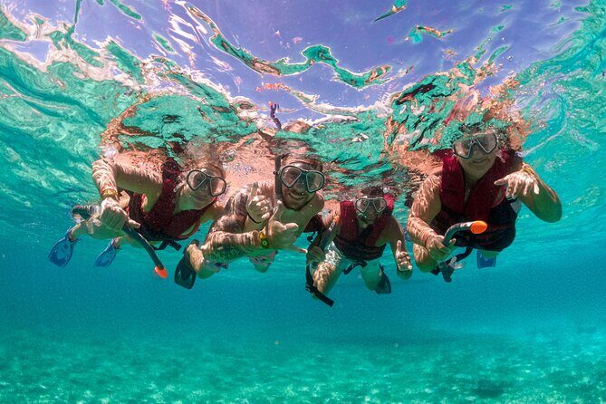 Snorkelling Experience - Key Points