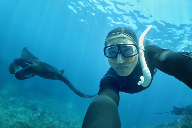 Snorkelling in Nusa Penida - Manta Point - Detailed Review of the Nusa Penida Snorkelling Tour