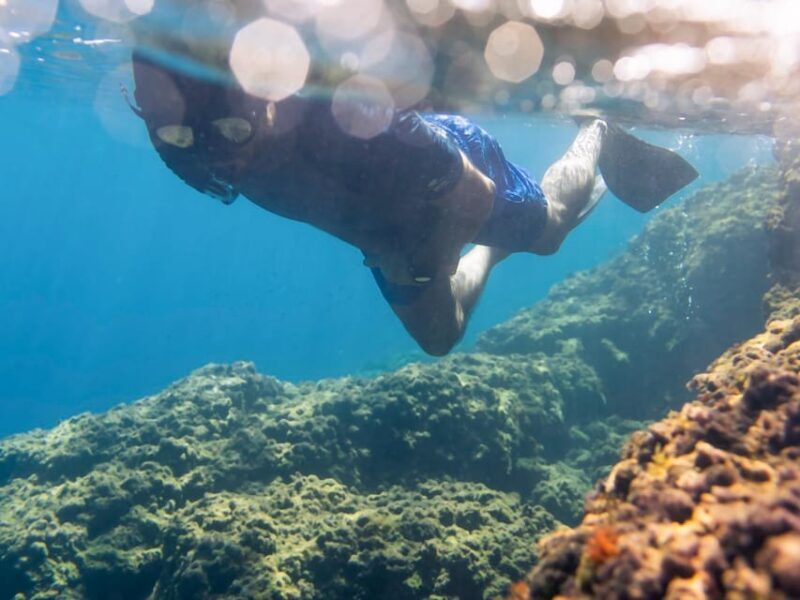 Snorkelling & Marine Biology Experience in the Cinque Terre - Key Points