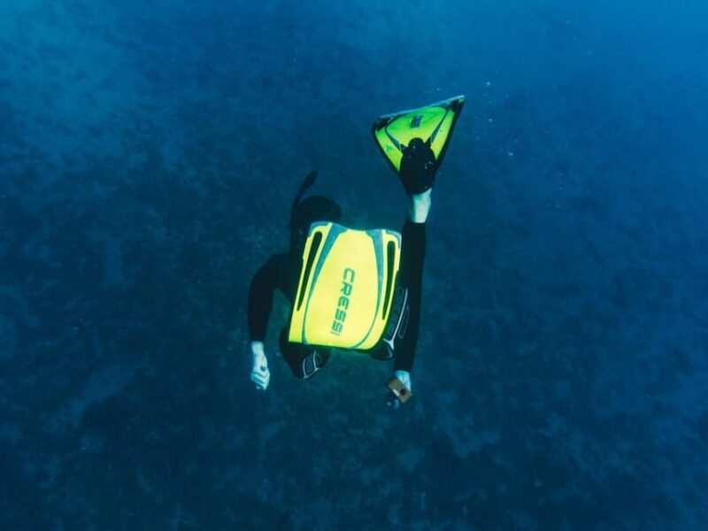 Snorkelling & Marine Biology Experience in the Cinque Terre - An In-Depth Look at the Experience