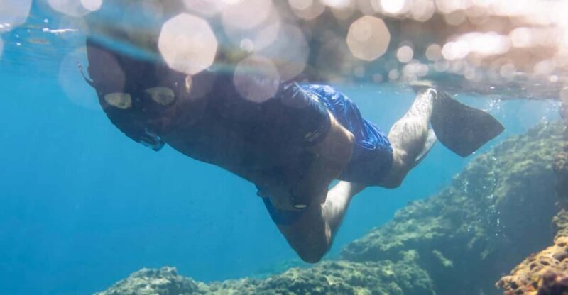 Snorkelling & Marine Biology Experience in the Cinque Terre - The Value Proposition