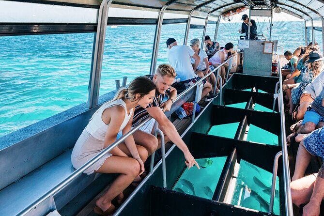 Snorkelling or Glass Bottom Boat at Green Island from Cairns - Who Is This Tour Best Suited For?