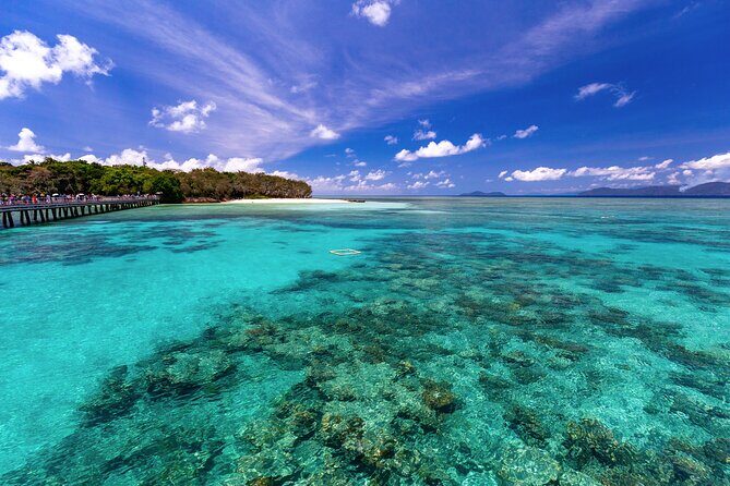 Snorkelling or Glass Bottom Boat at Green Island from Cairns - Final Thoughts
