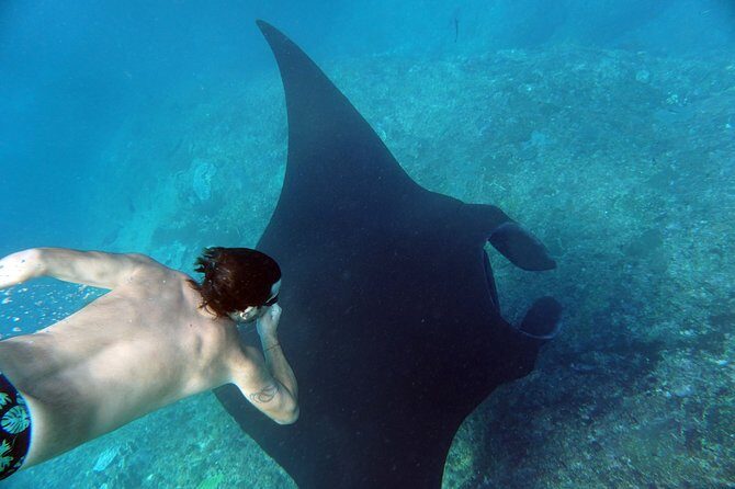 Snorkelling with Manta Rays at Nusa Penida and Lembongan - Final Thoughts
