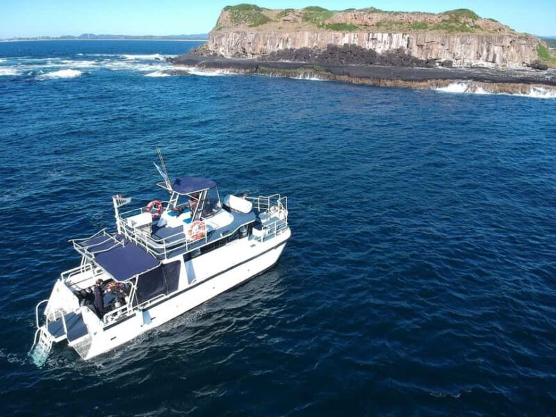 Snorkelling with Turtles at Cook Island Marine Rserve - The Itinerary: What to Expect on Your Day of Snorkeling