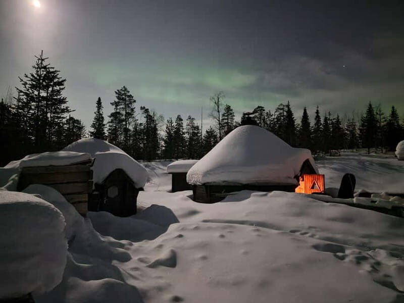 Snow Activities and reindeer feeding in nature - Authenticity and What Past Travelers Say
