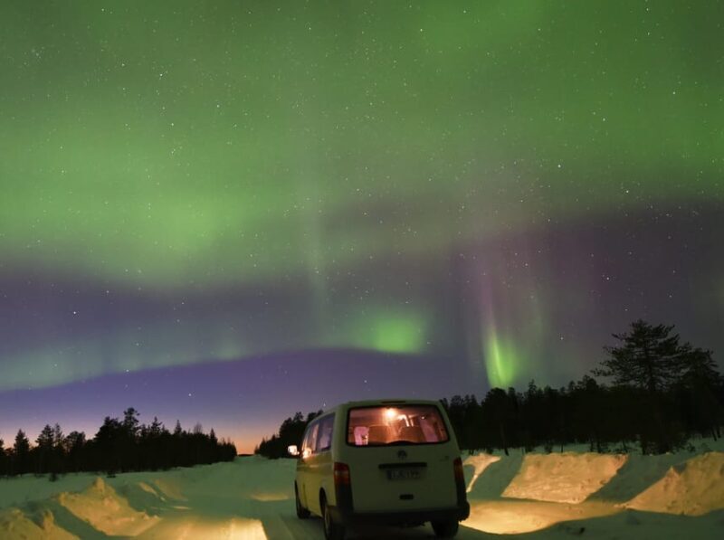 Snow Activities and reindeer feeding in nature - Final Thoughts: Who Will Love This Tour?