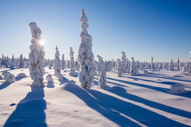 Snow Adventure Day - Is This Tour Right for You?