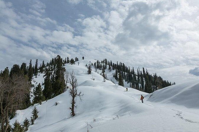 Snow Adventure in Shogran Thandiani Murree and Galyat from Lahore - Analyzing the Value