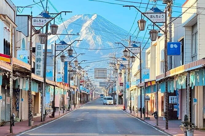 Snow Experience at Mt.Fuji, Hakone Pirate Ship & Gotemba Premium Outlet - Who Should Consider This Tour?
