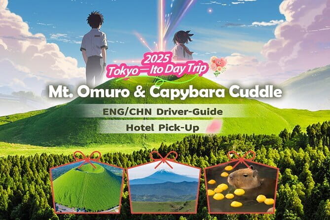 Snow Experience at Mt.Fuji, Hakone Pirate Ship & Gotemba Premium Outlet - Final Thoughts