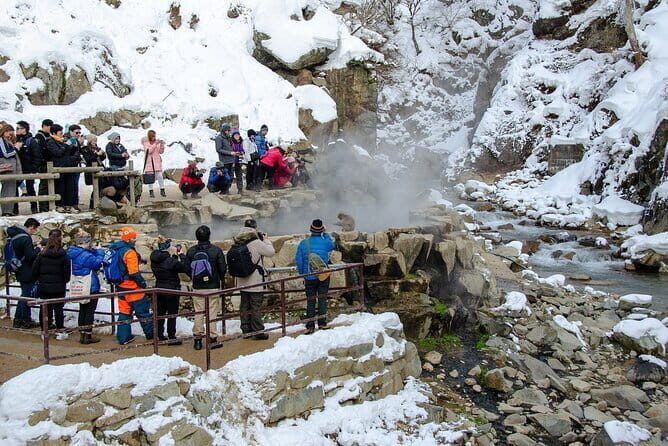Snow Monkey and Obuse from Nagano - The Value Proposition