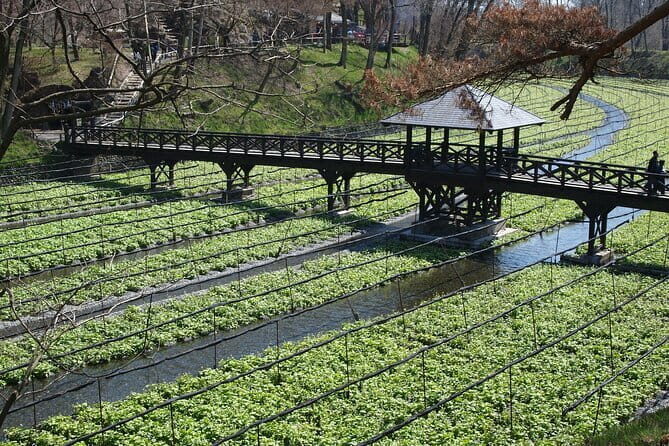 Snow Monkey, Hokusai & Sake: A Perfect Day in Nagano - FAQs