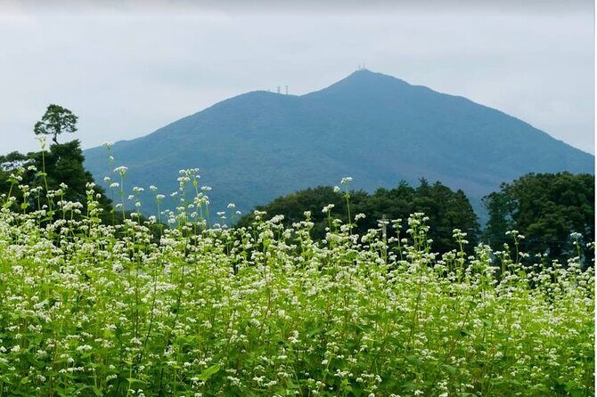 Snow Monkey Nagano Day Tour by Car English Driver in Person Guide - Who Will Love This Tour?