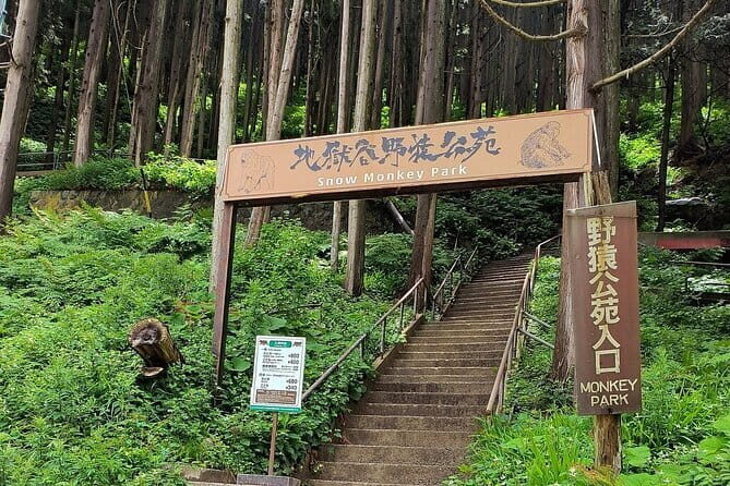 Snow Monkey Nagano One Day Private Tour with English Guide. - Key Points