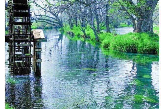 Snow Monkey Park and Zenko ji Temple Private Day Tour - Why Choose This Tour?