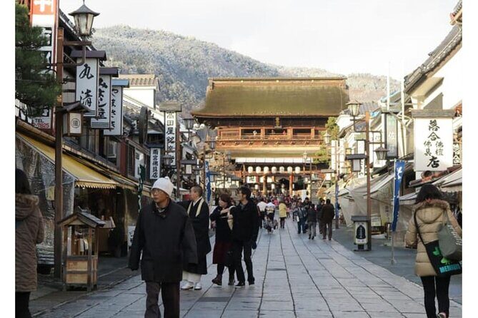 Snow Monkey Park and Zenko ji Temple Private Day Tour - Analyzing the Value