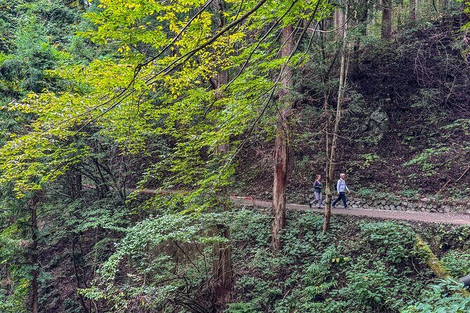 Snow Monkey Park Private Tour from Tokyo with licensed guide - Meeting the Famous Snow Monkeys