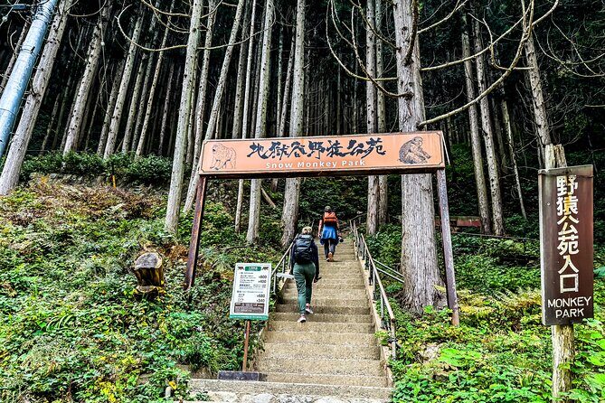Snow Monkey Park Private Tour from Tokyo with licensed guide - Lunch and Cultural Stops