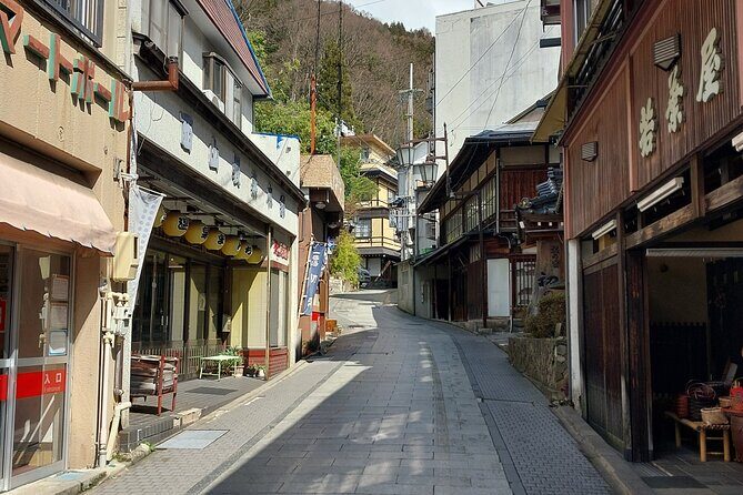 Snow Monkey Park, Soba Lunch and Shibu Onsen Tour - An In-Depth Look at the Tour