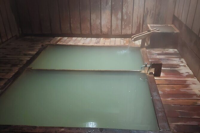 Snow Monkey Park, Soba Lunch and Shibu Onsen Tour - Final Thoughts