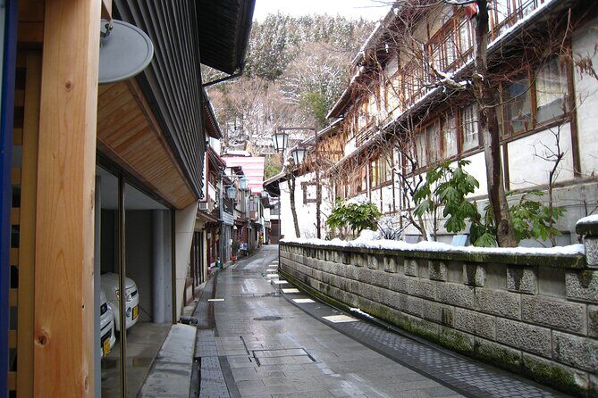 Snow Monkey & Shibu Onsen Afternoon Tour (Depart: Iiyama & Nozwa) - What You Gain from the Tour