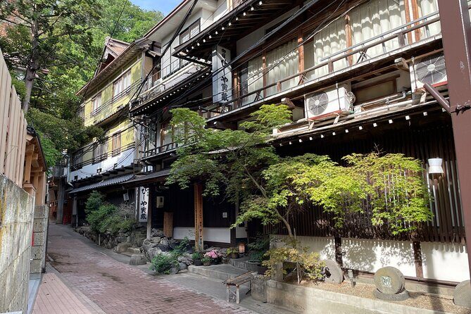 Snow Monkey & Shibu Onsen Private Tour (Nagano, Myoko, Madarao) - Who Is This Tour Best For?