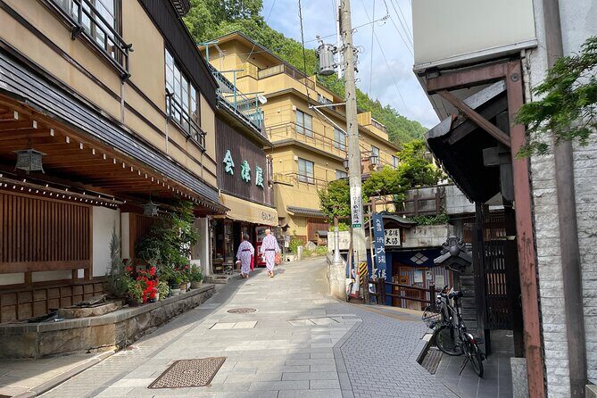 Snow Monkey & Shibu Onsen Private Tour (Nagano, Myoko, Madarao) - Final Thoughts