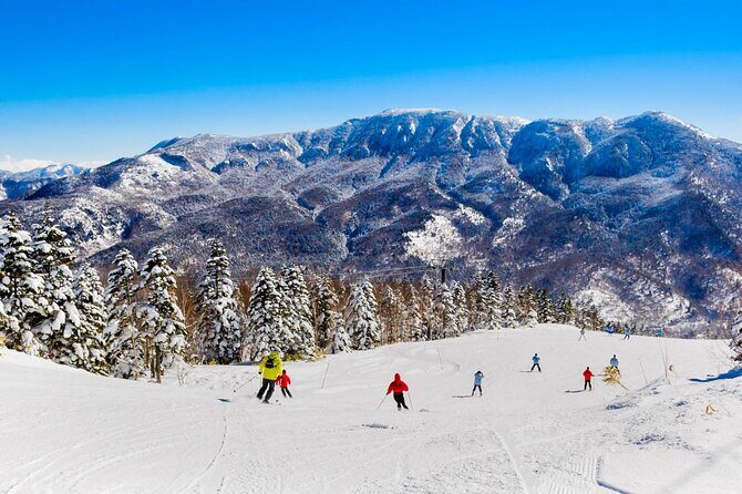 Snow Monkey, Zenko Ji Temple, Sake in Nagano Tour - FAQ