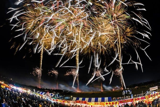 Snow Monkeys Park Tour and Ebisu-ko Fireworks Fest in Nagano - Practical Details and Tips