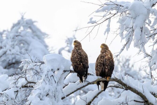 Snow View Rafting with Watching Wildlife in Chitose River - Final Words
