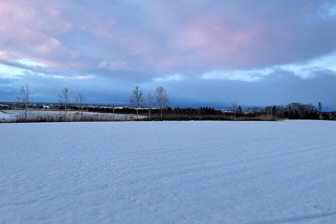 Snow View Sauna in Naganuma - Snow View Sauna in Naganuma: A Unique Winter Escape Near Sapporo